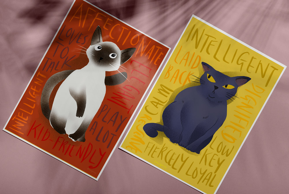 About – Messyvoices Studio